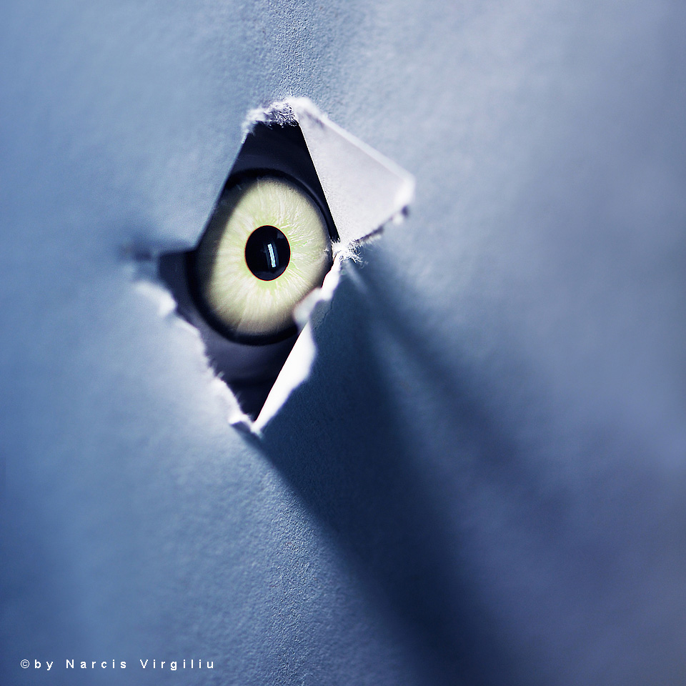Bizarre Still Life – The Eye © Photography by Narcis Virgiliu | Narcis ...