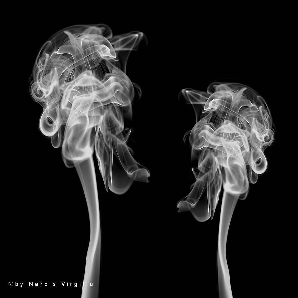 Tribal Smoke | Narcis Virgiliu Fotograf Profesionist - Narcis Virgiliu